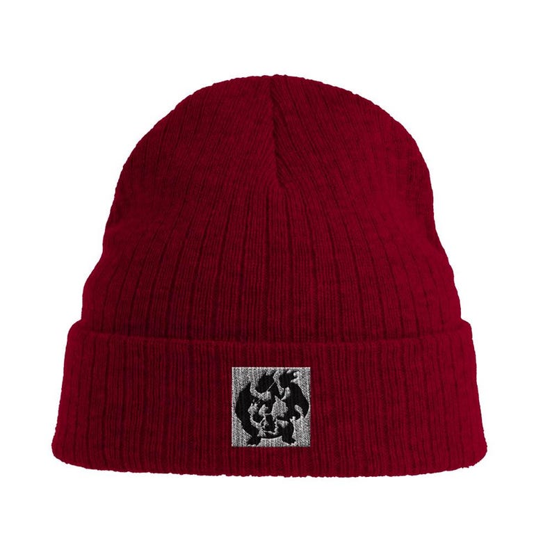 Pokemon Charizard Sustainable Rib Cuffed Beanie Atlantis Headwear RIO ...