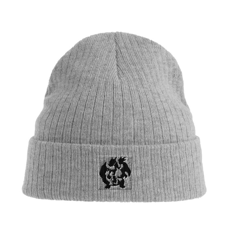 Pokemon Charizard Sustainable Rib Cuffed Beanie Atlantis Headwear RIO ...