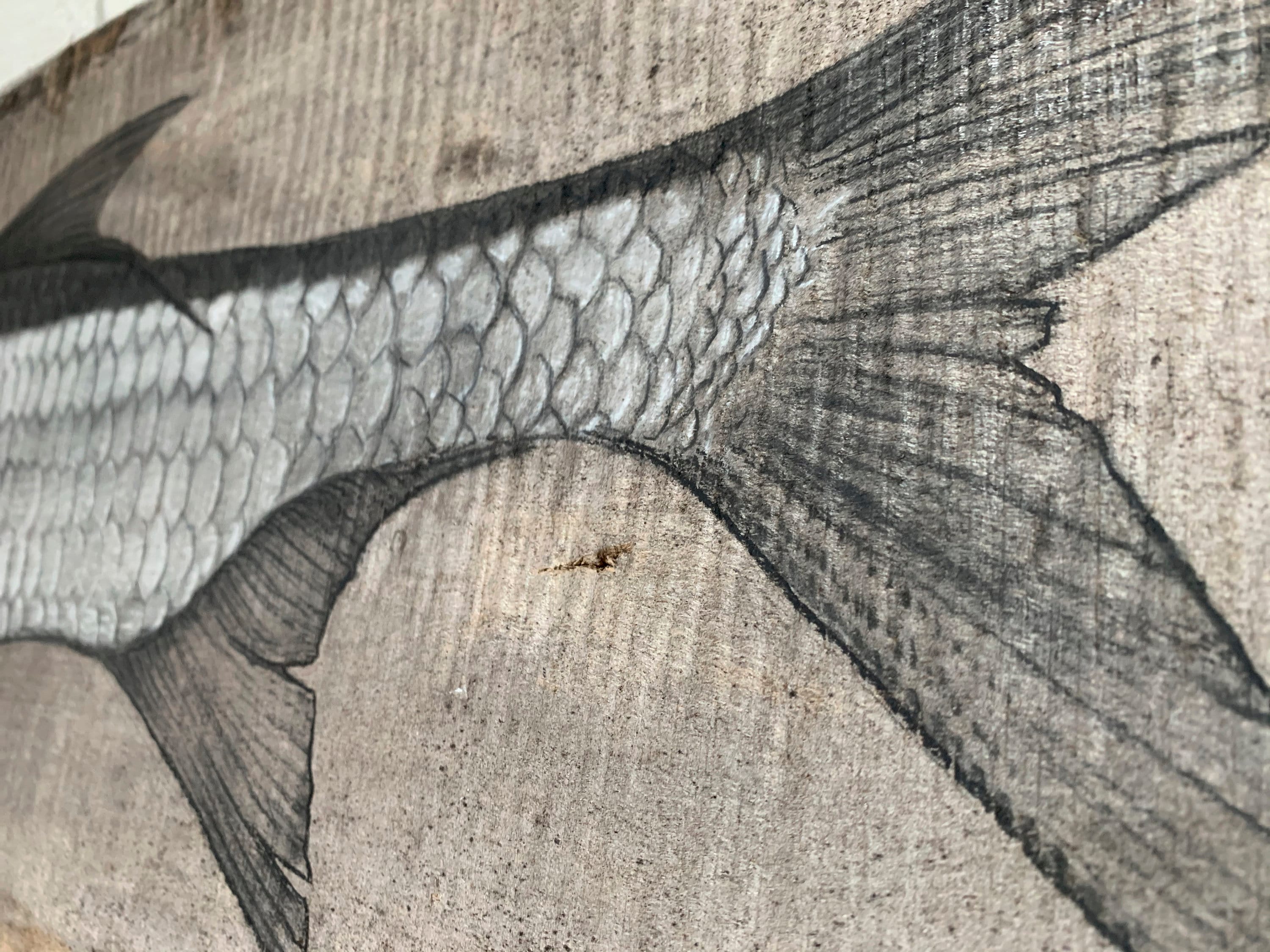 Charcoal and Pencil Fish Art on Reclaimed Raw Edge Wood - Etsy