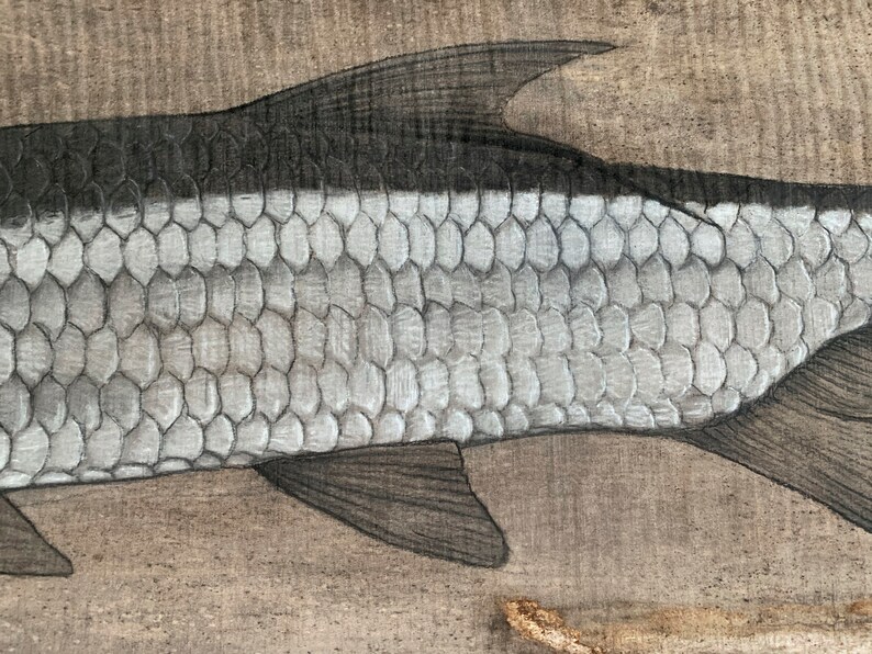 Charcoal and Pencil Fish Art on Reclaimed Raw Edge Wood - Etsy