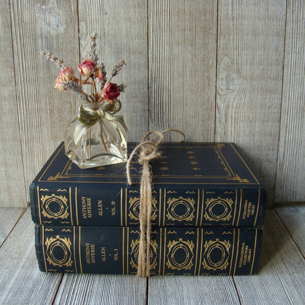 Blue Book Stack - Etsy