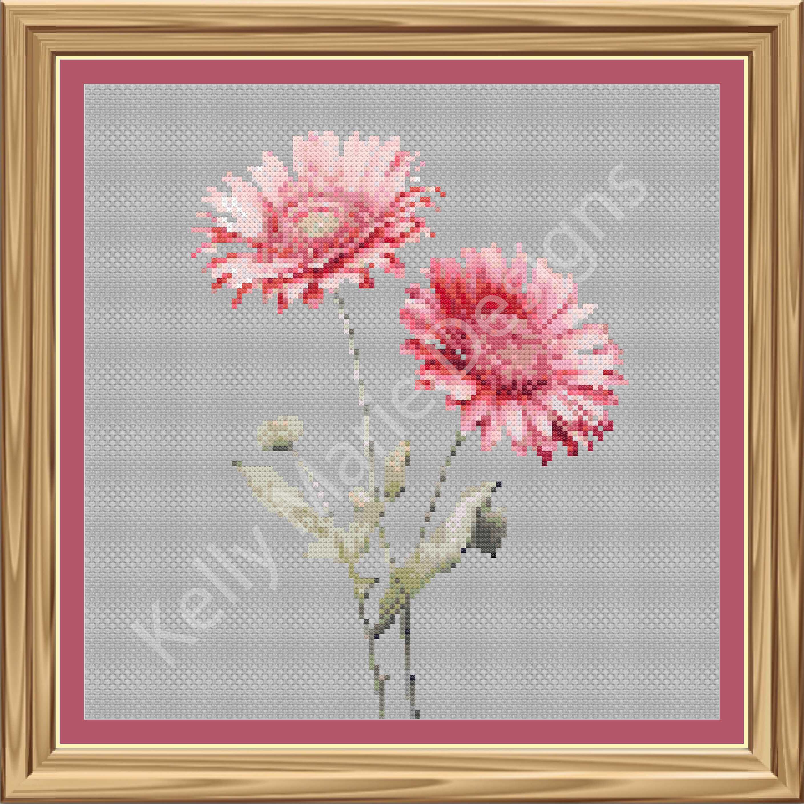 Pink Daisy Harmony Cross Stitch Pattern Gerbera Daisies - Etsy