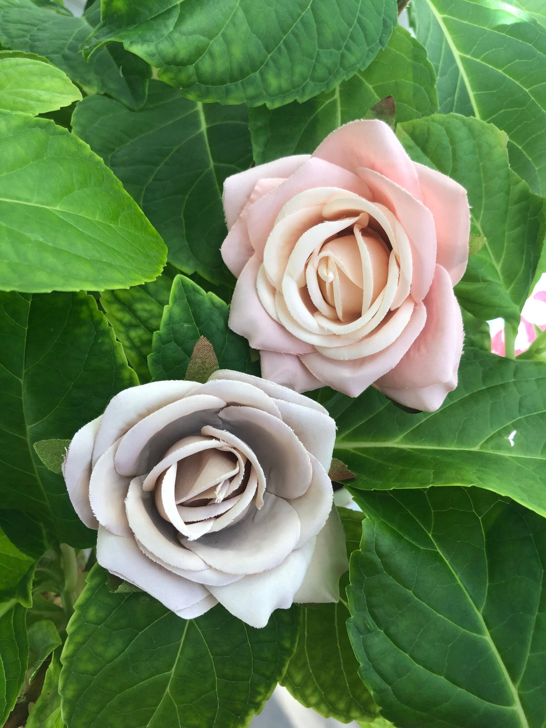 Beautiful Roses for Pet Collars - Etsy