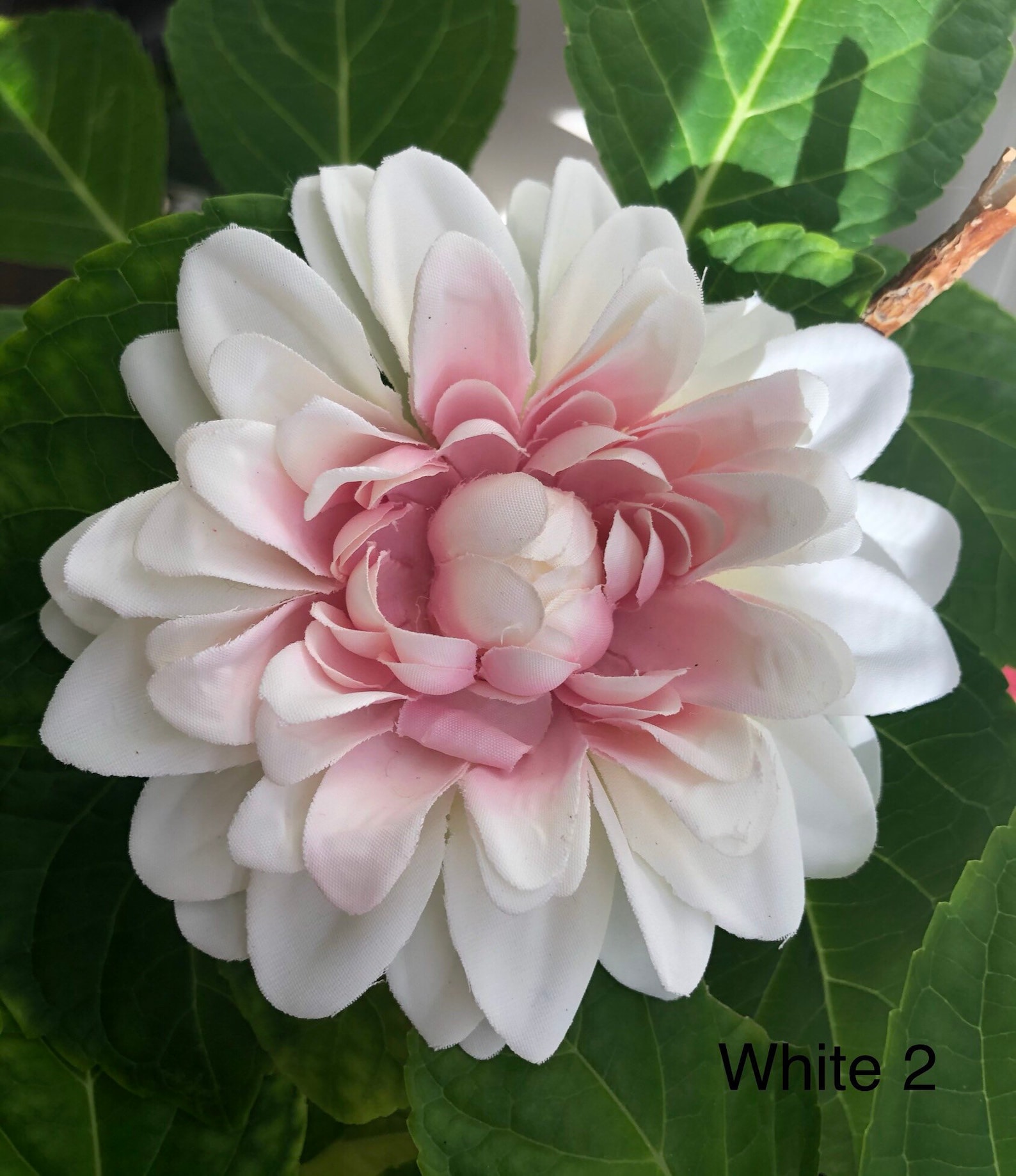 Beautiful Flower for Pet Collar! Collar is Not Included- Flower Only ...
