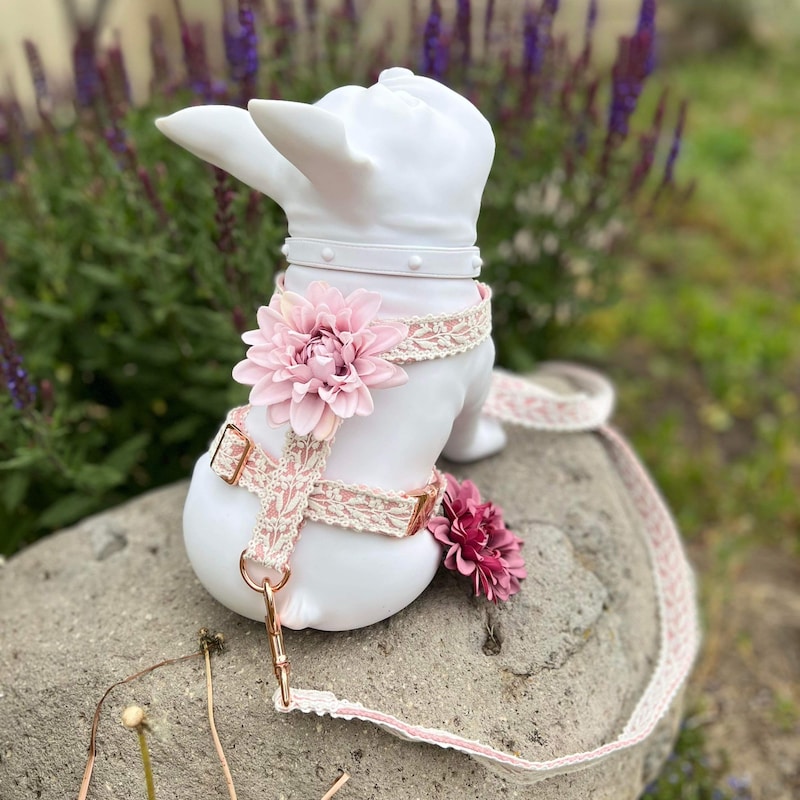 Wedding Dog Harness - Etsy