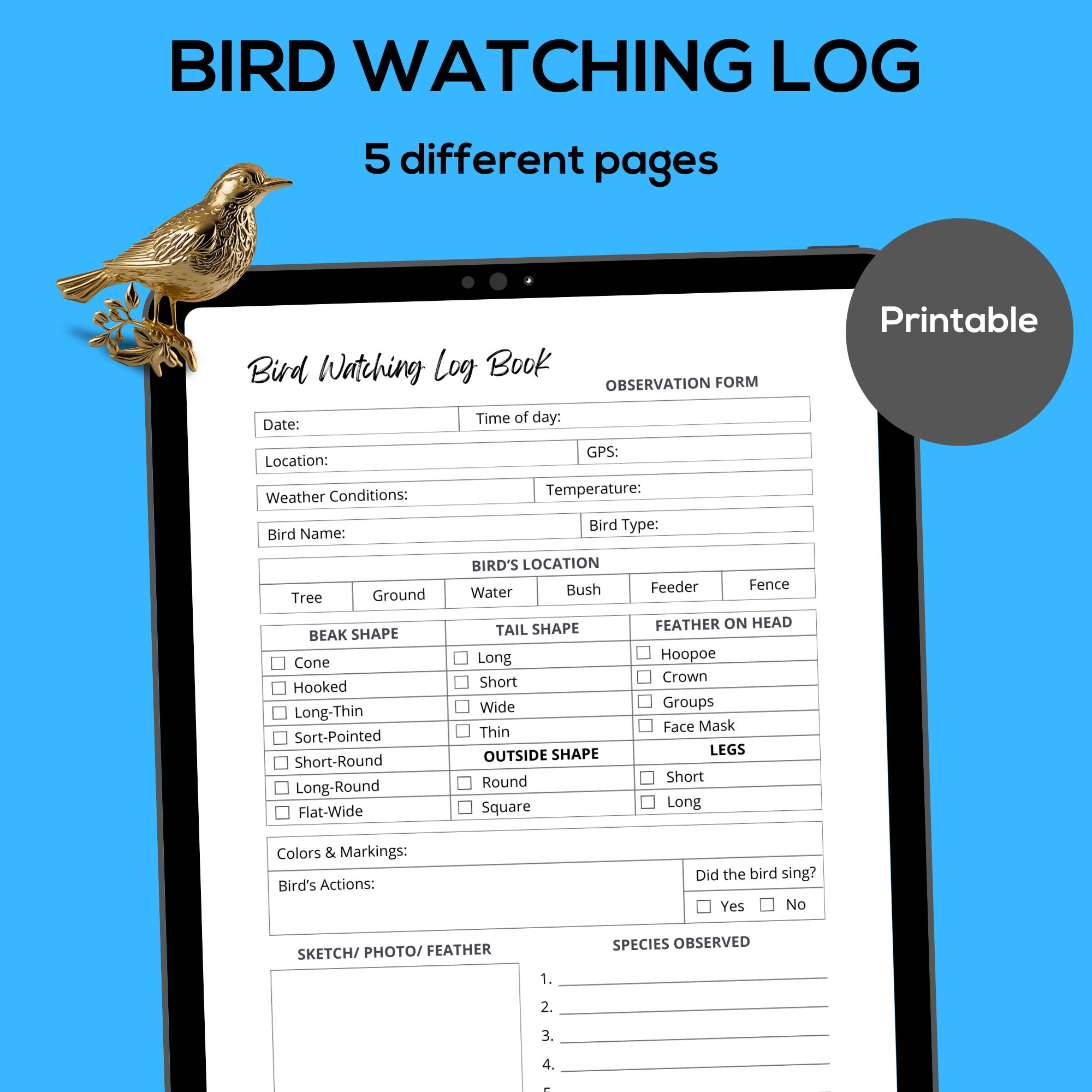 Bird Watching Log | Bird Watching Journal | Bird Watching Pages - PDF ...