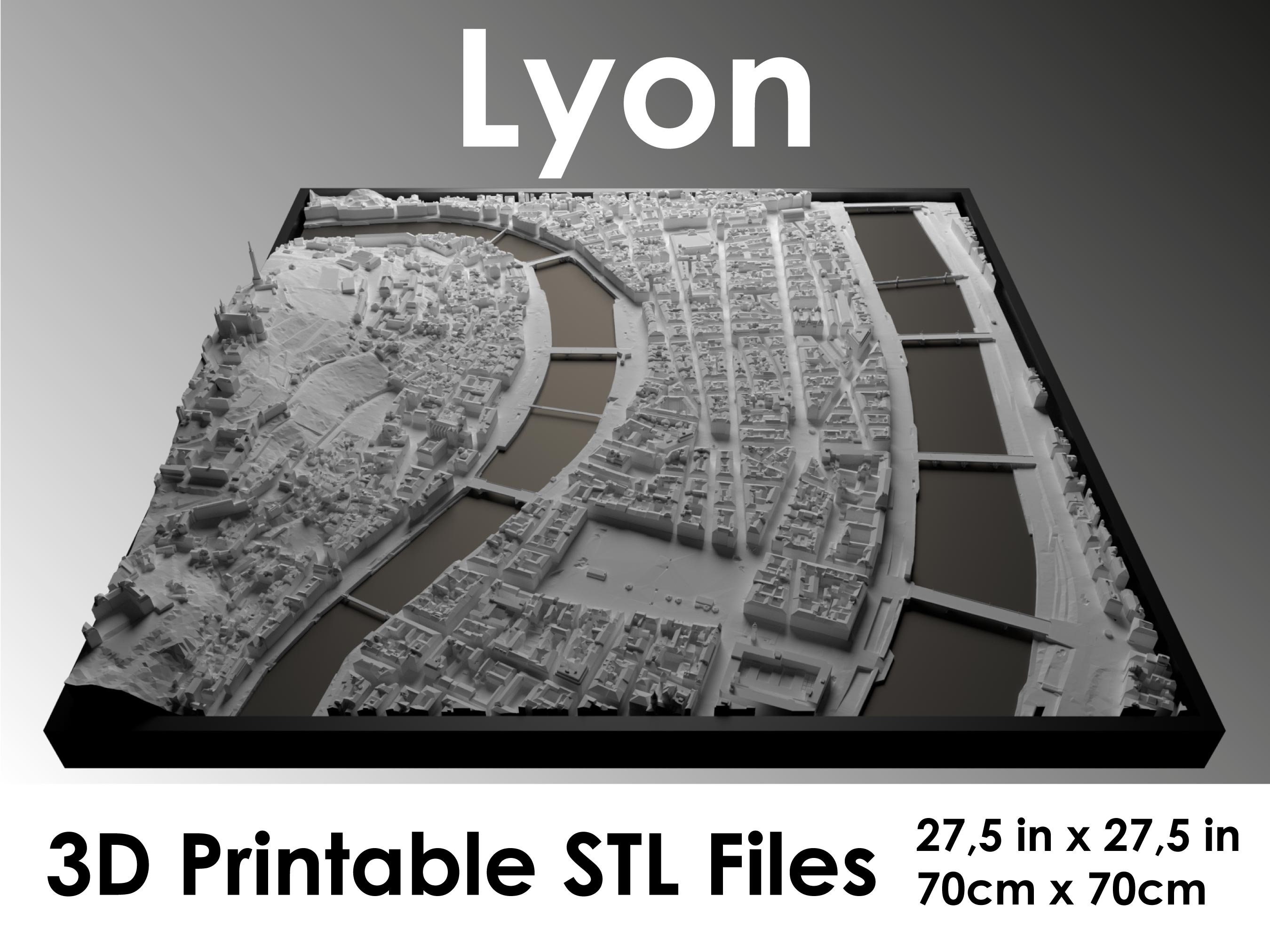 3D Lyon, World Map, 3d Print Stl File, Lyon Skyline, Lyon Map, Digital ...