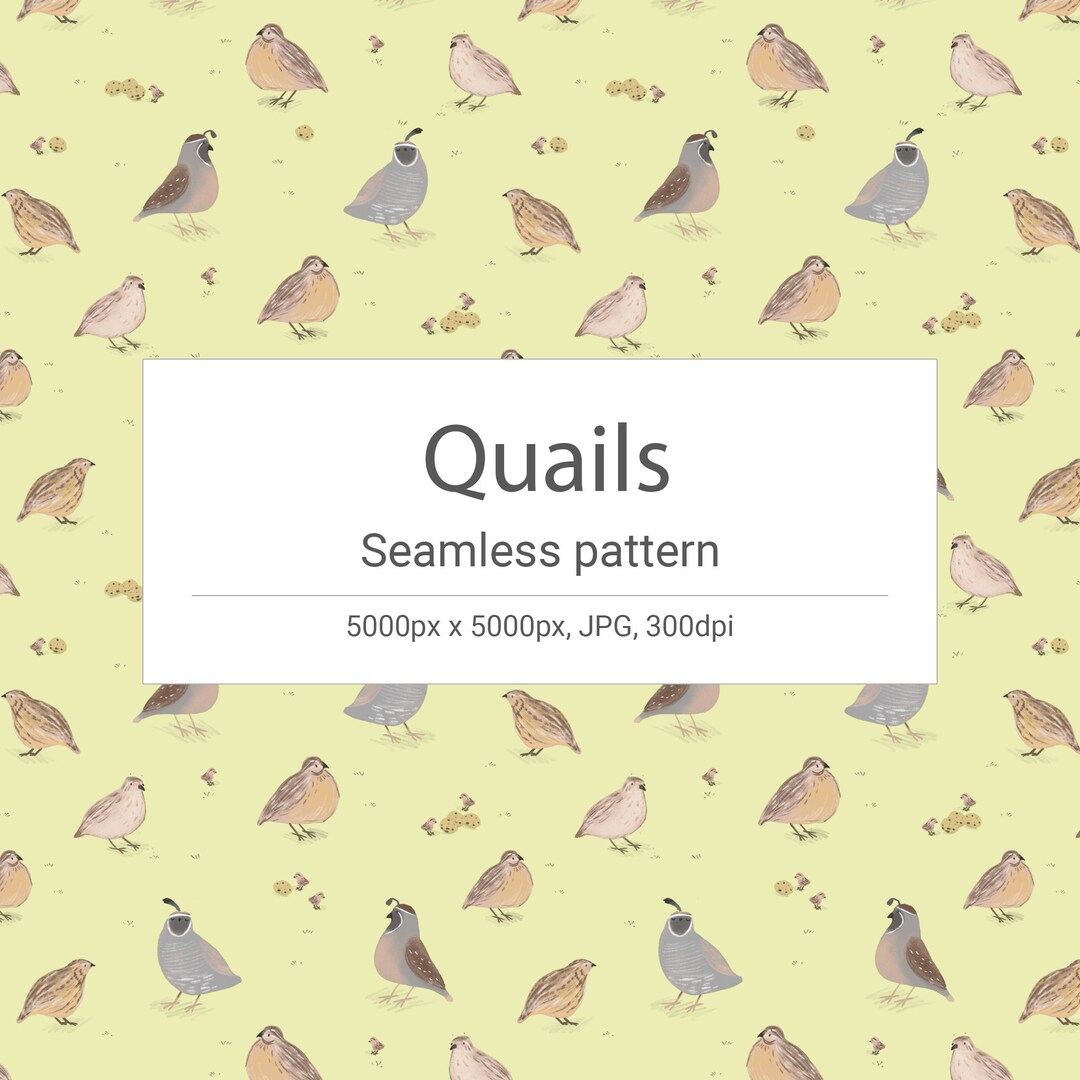 Quails on Green Seamless Pattern INSTANT DOWNLOAD Background - Etsy