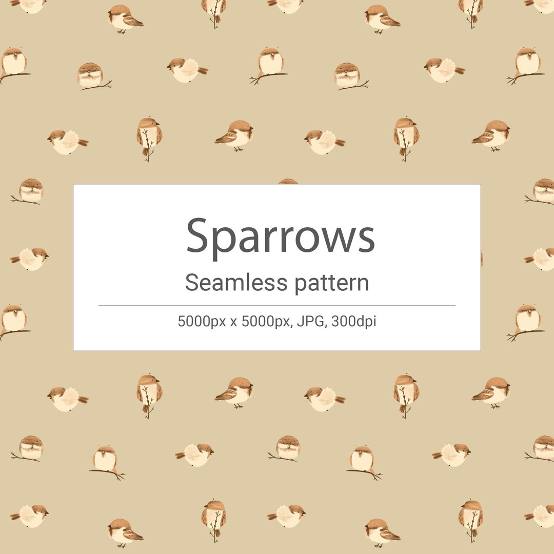 Sparrows Seamless Pattern INSTANT DOWNLOAD Background - Etsy
