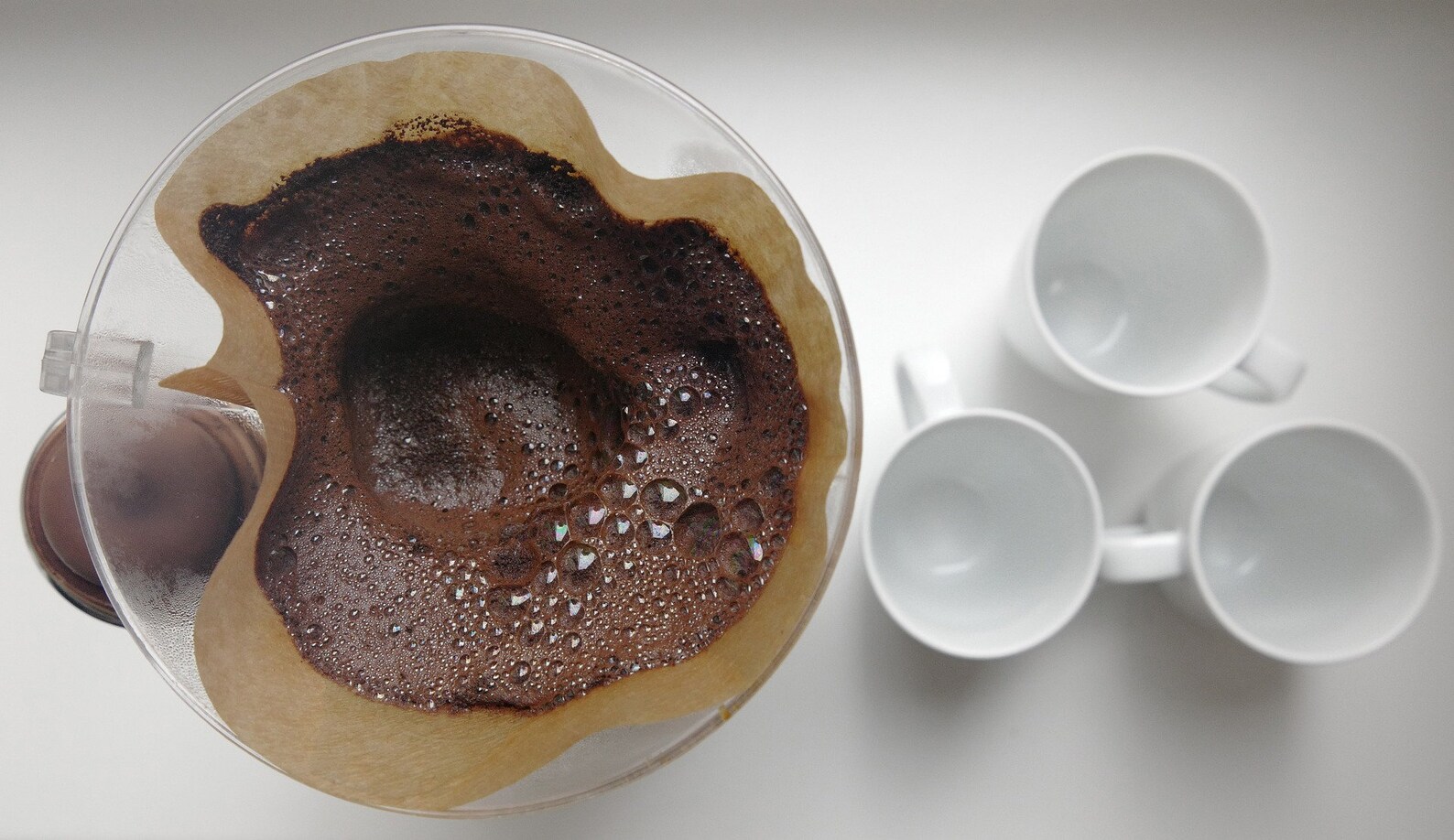 One Year Work Anniversary Coffee Mug Work Anniversary Gifts - Etsy
