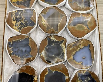 Uncut Thunder Eggs - Etsy