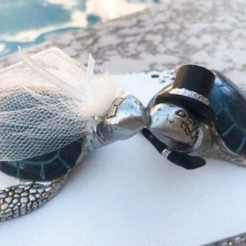 Turtle Wedding - Etsy