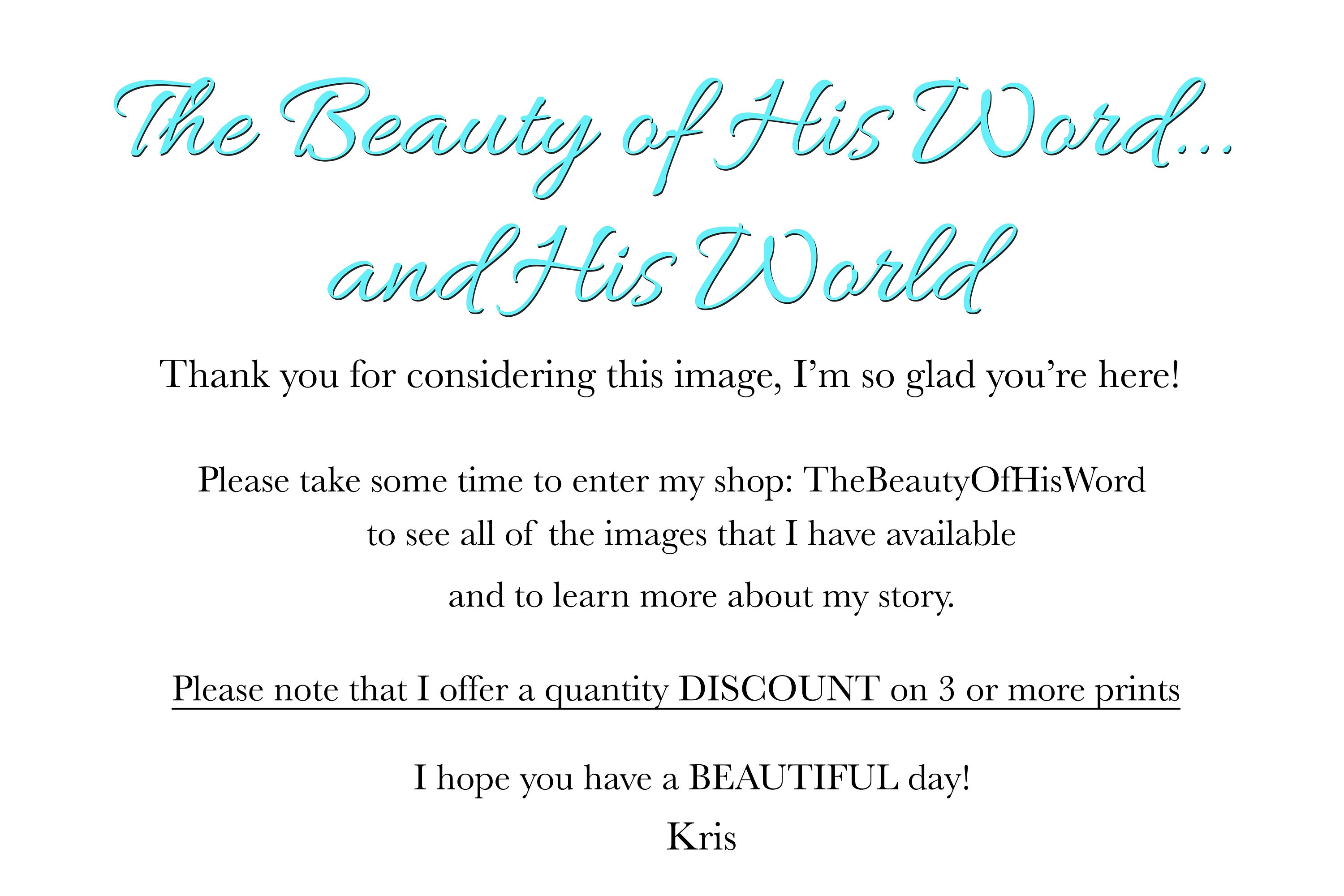 Alex Shine Matthew 5 16