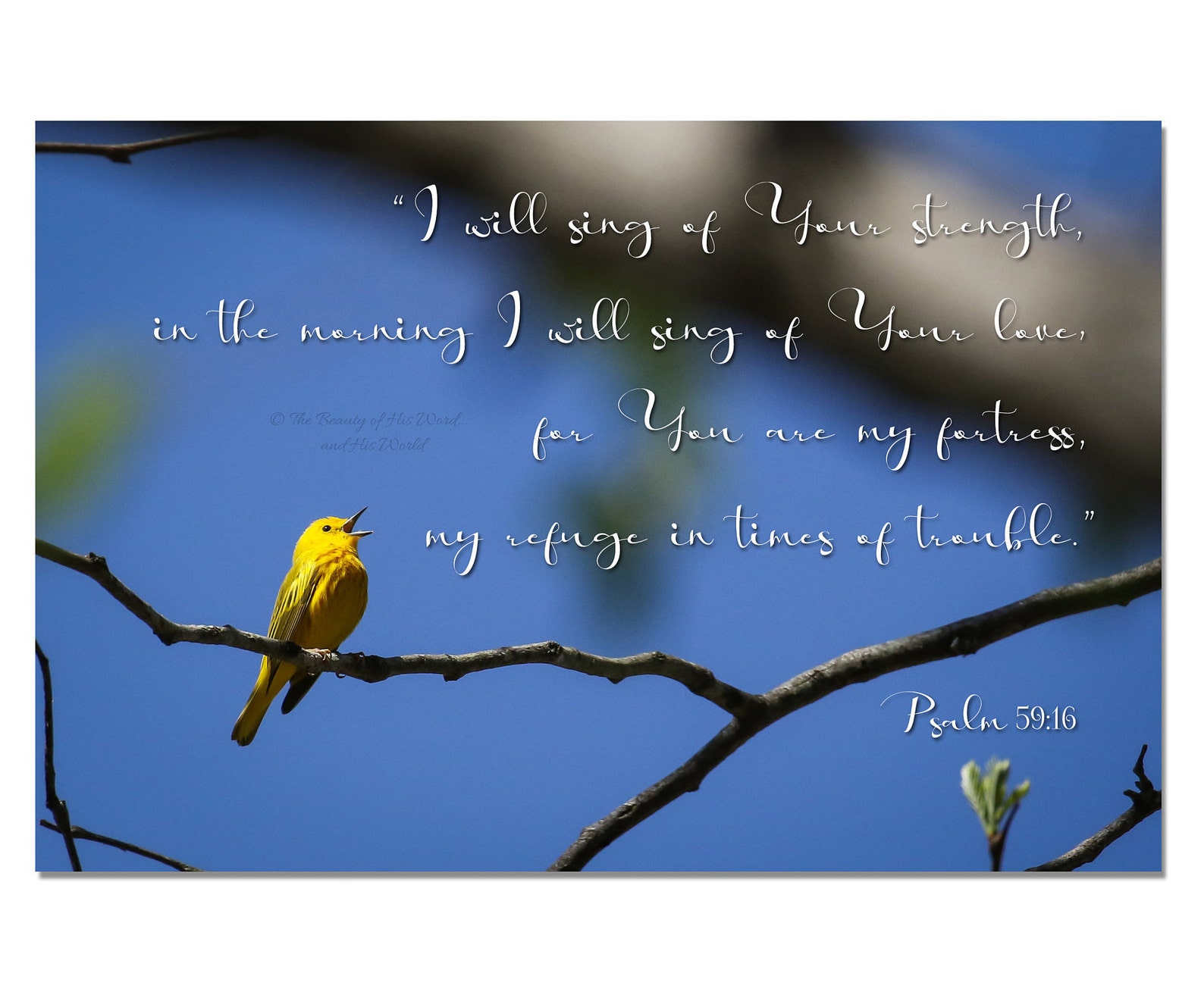 Psalm 59 16 I Will Sing Of Your Strength Yellow Warbler Etsy Psalm 59 16 I Will Sing Of Your Strength Yellow Warbler Etsy