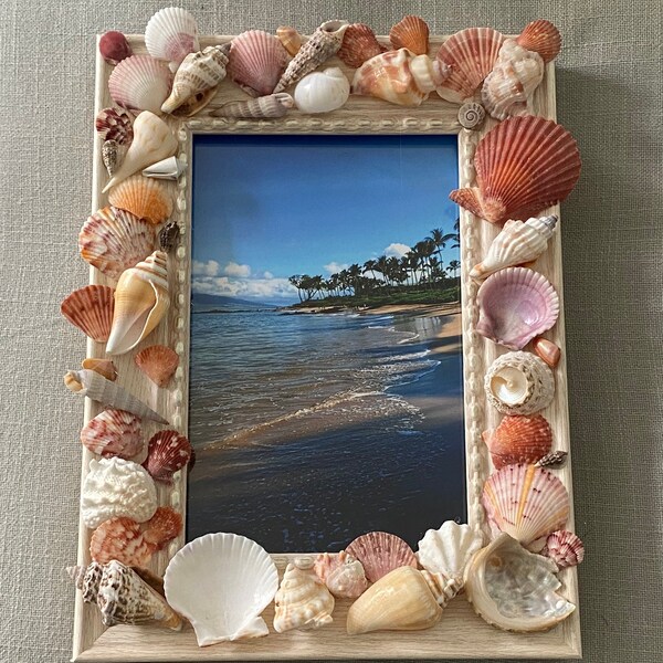Seashell Frame - Etsy