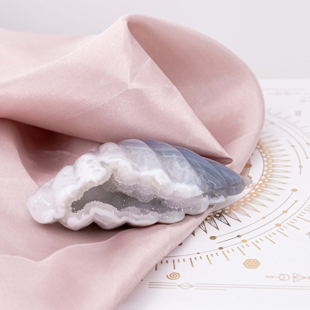 Druzy Agate Geode Druse Shell Carving - Etsy