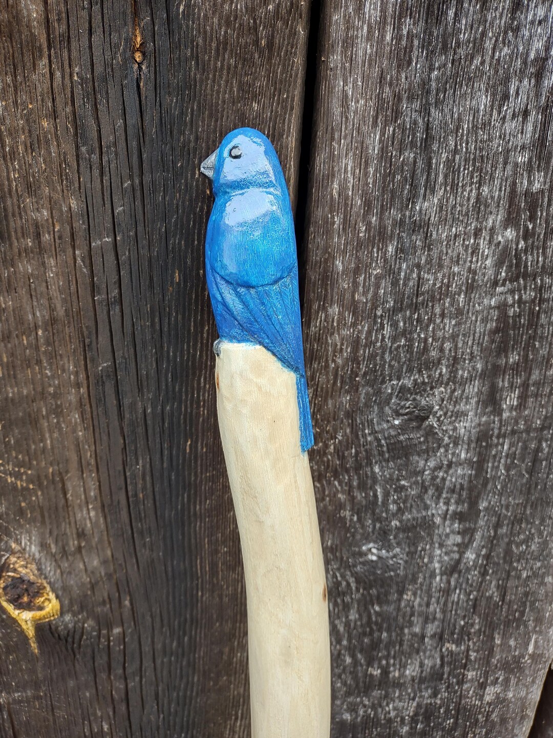 Indigo Bunting Bird Walking Stick Perfect Gift. - Etsy