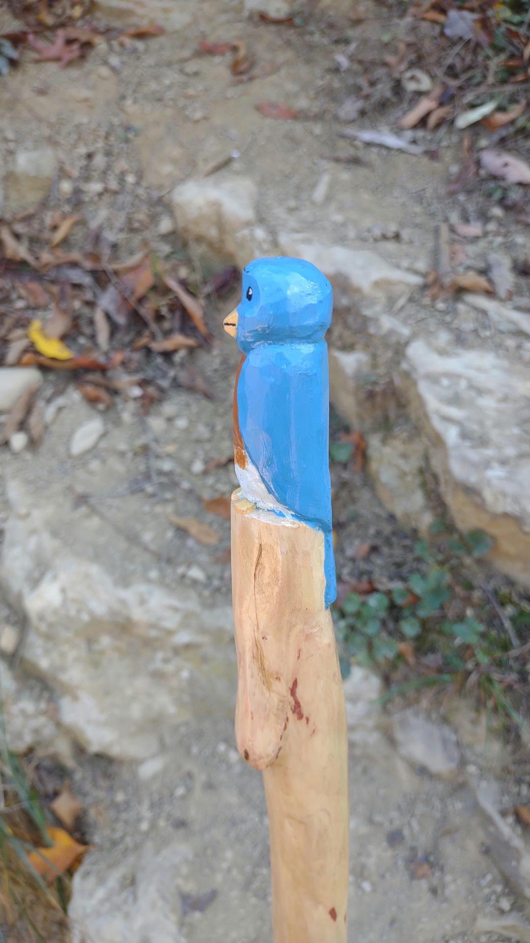 Hand Carved Bluebird Walking Stick: Children's Folk Art Cane - Etsy