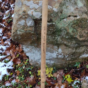 Appalachian Folk Art Hand Carved Blue Bird Walking Stick Cane Beautiful ...