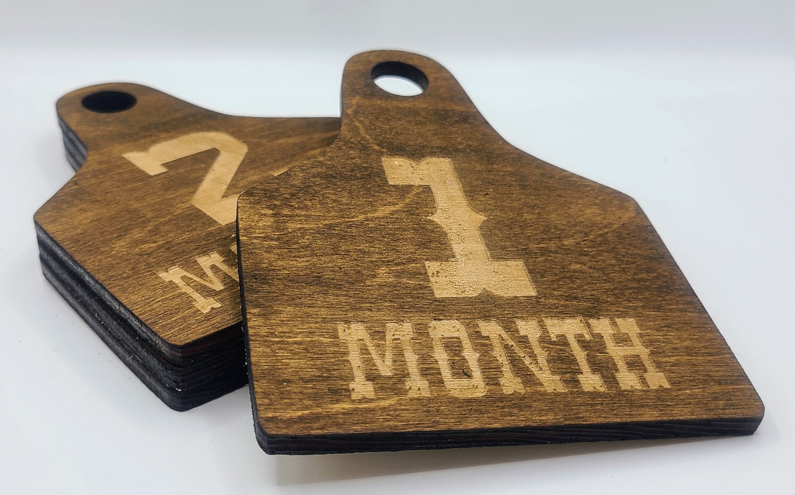 Cow Tag Monthly Milestone Markers - Etsy