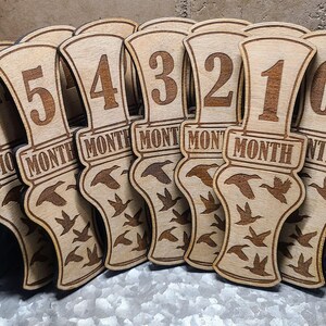 Duck Call Baby Milestones - Etsy
