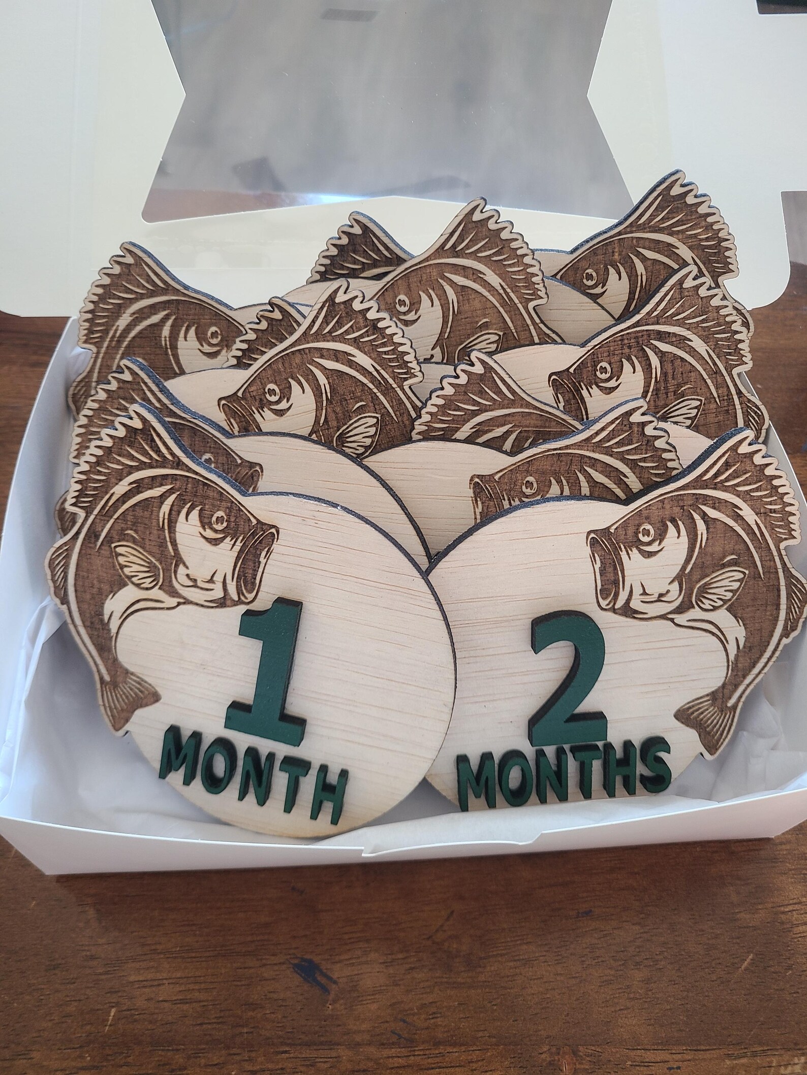 Fish Monthly Milestones - Etsy