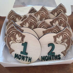 Fish Monthly Milestones - Etsy