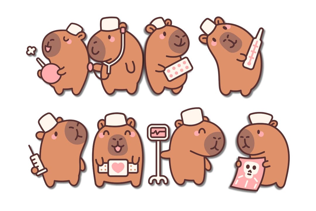 Set of 4+ Capybara Medical School Stickers, Medical Student Cute ...