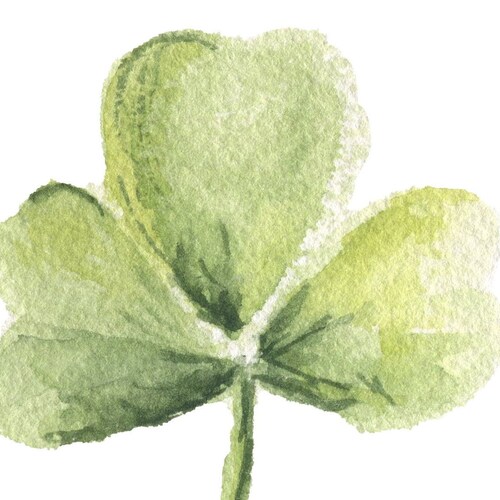 Shamrock Watercolor Print Framed Shamrocks Art Shamrock - Etsy