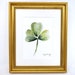 Shamrock Watercolor Print, Shamrock Art, Shamrock Painting, Irish Art ...