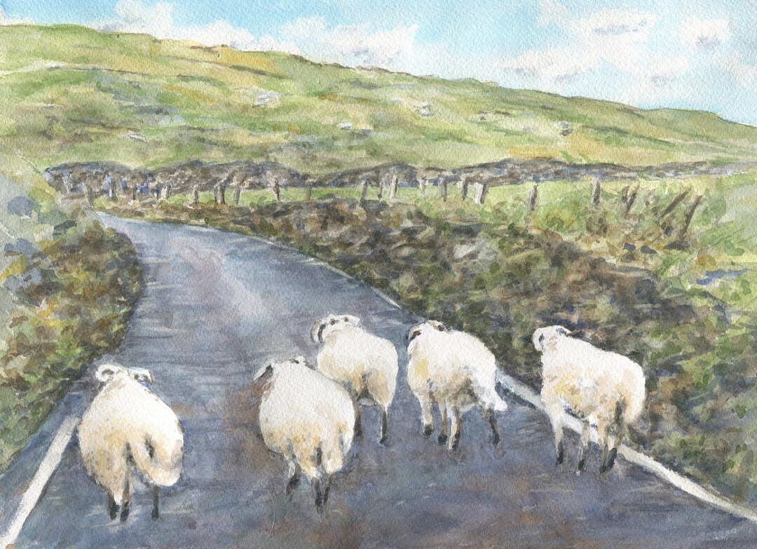 Irish Sheep, Irish Road Landscape Print or Original, Sheep Art, Ireland ...