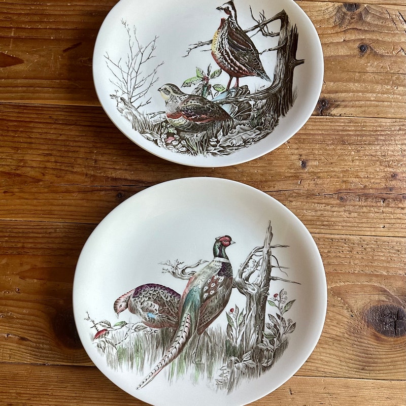 Bird Platter - Etsy