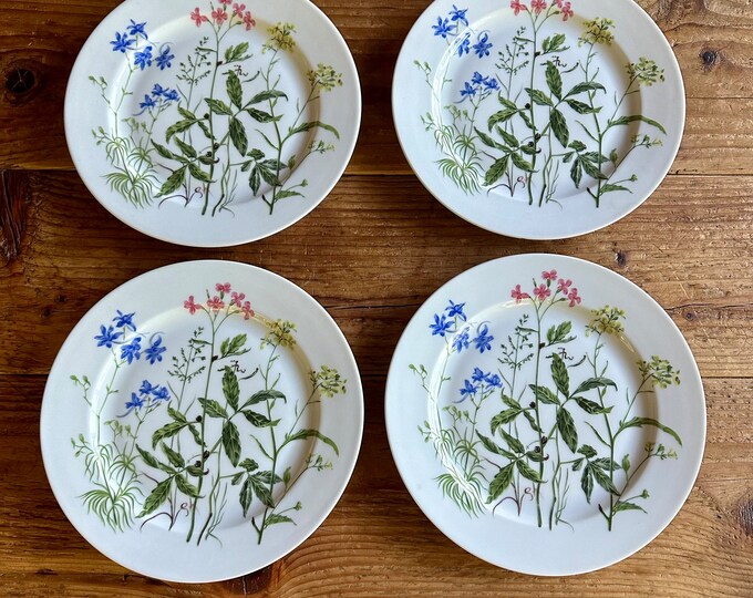 Bernardaud Limoges Porcelain Plates, Alcée Floral Pattern 8” Lunch ...