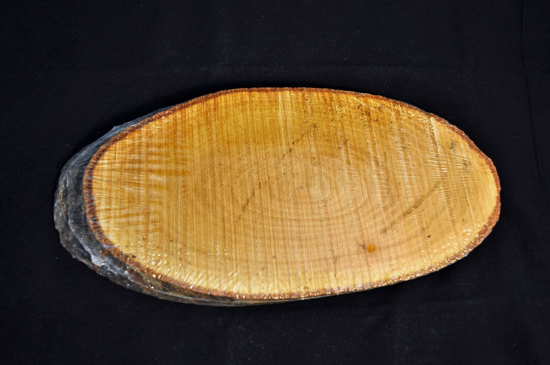 Unfinished Natural Wood Slices With Tree Bark for DIY Craft - Vintage ...