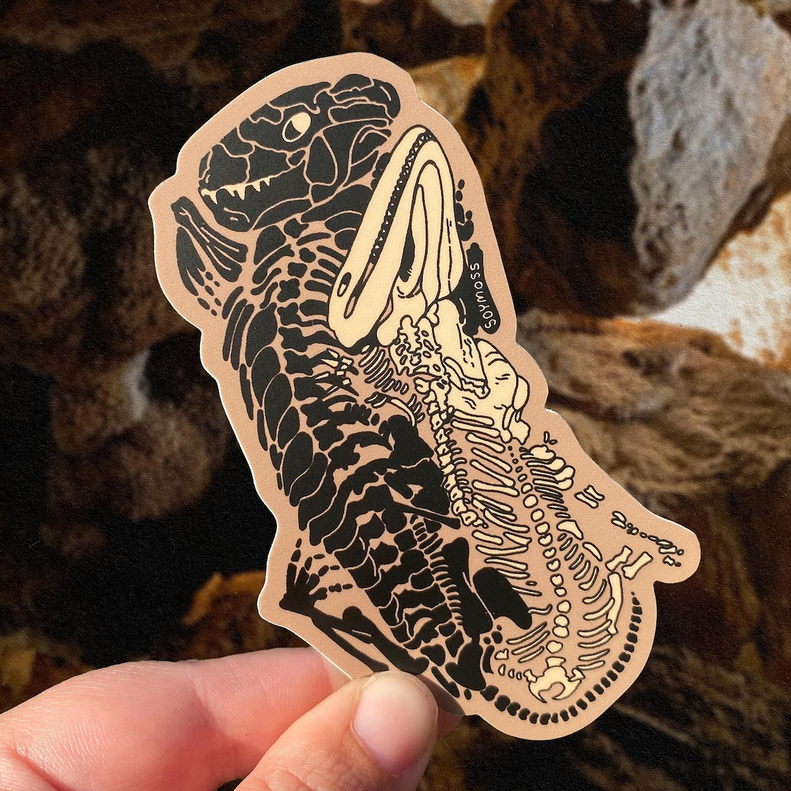 Triassic Cuddle Fossil Sticker - Etsy