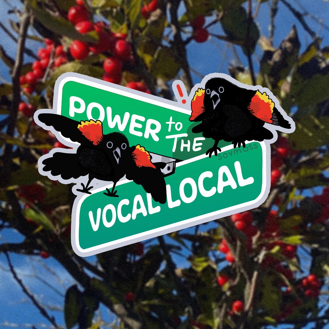 Power to the Vocal Local Red-winged Blackbird Sticker - Etsy