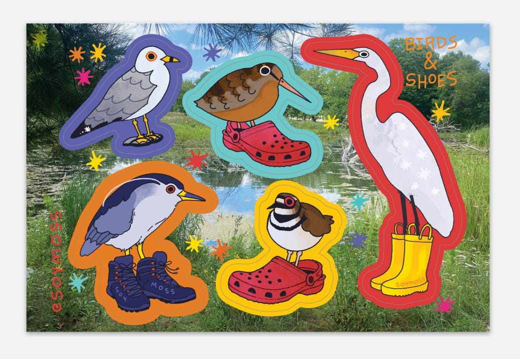 Birds & Shoes Sticker Sheet - Etsy