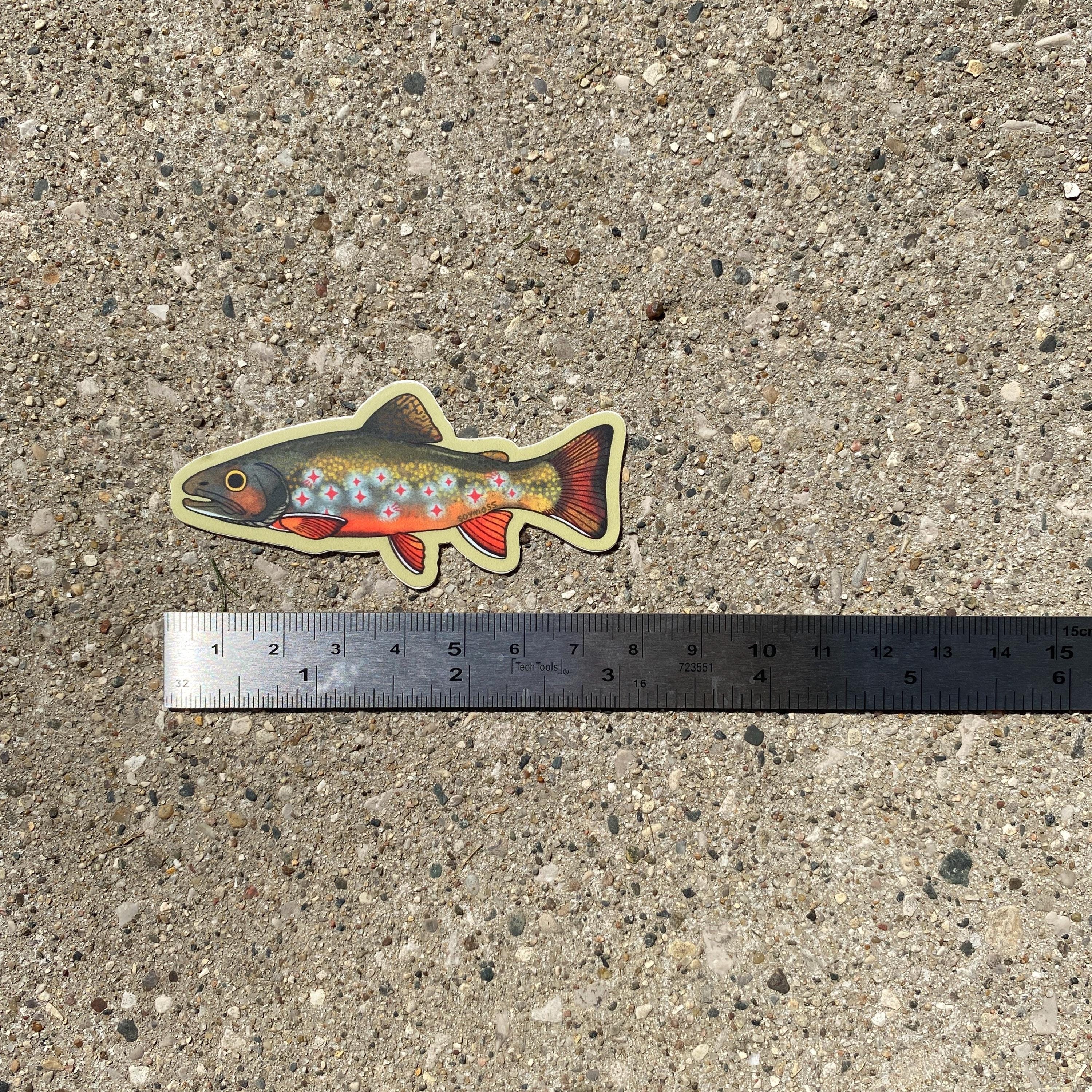 Brook Trout Bumper Sticker - Etsy
