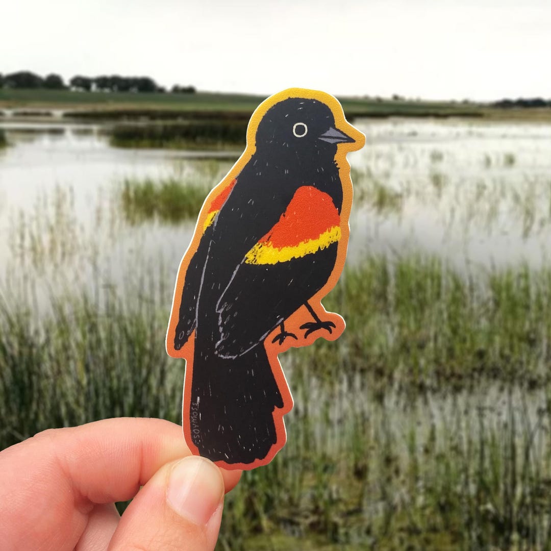 Red Wing Blackbird Sticker - Etsy