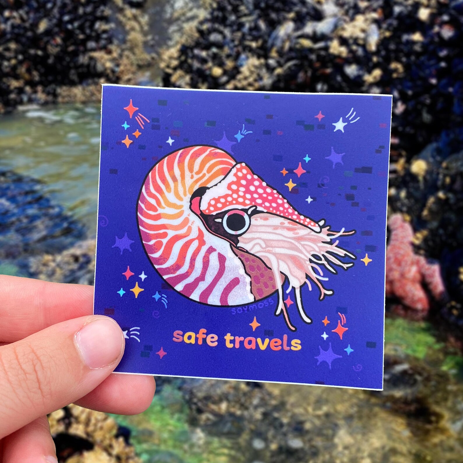 Safe Travels Nautilus Matte Sticker - Etsy