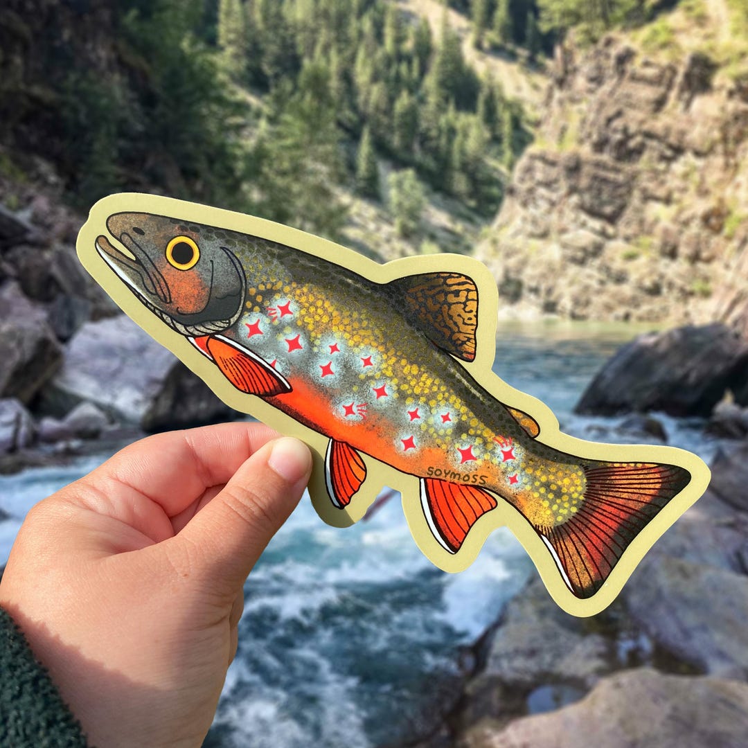 Brook Trout Bumper Sticker - Etsy