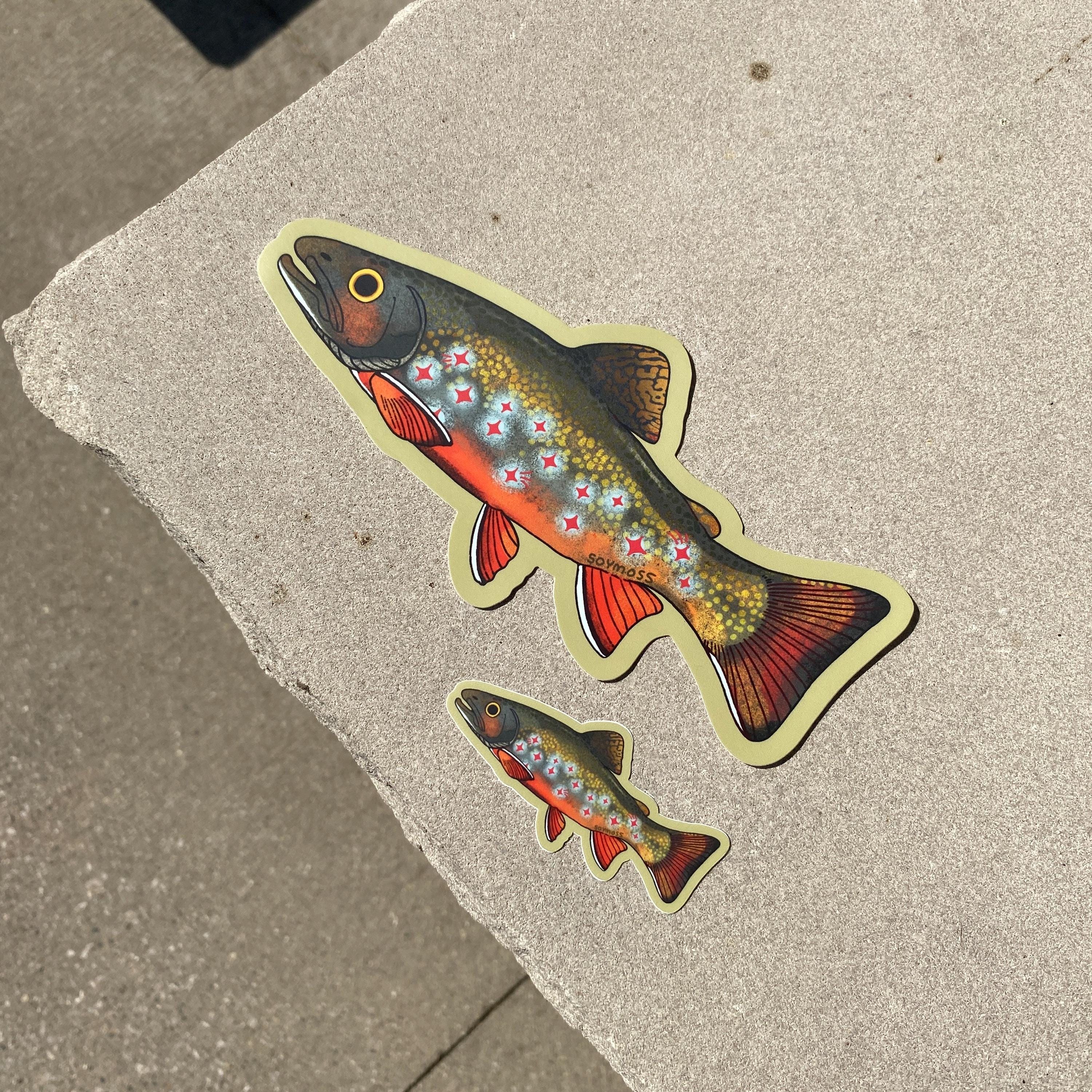 Brook Trout Bumper Sticker - Etsy