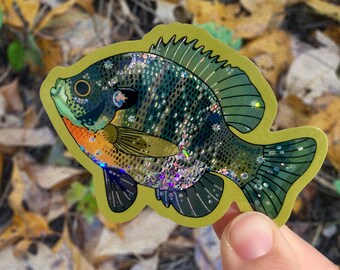 Bluegill, Bluegill Decal, Bluegill Sticker, Panfish - Etsy