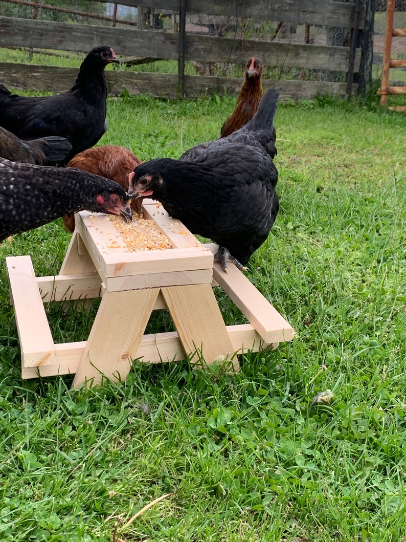 Chicnic Table, Chicken Picnic Table - Etsy