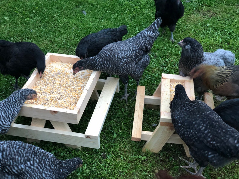 Chicnic Table, Chicken Picnic Table - Etsy