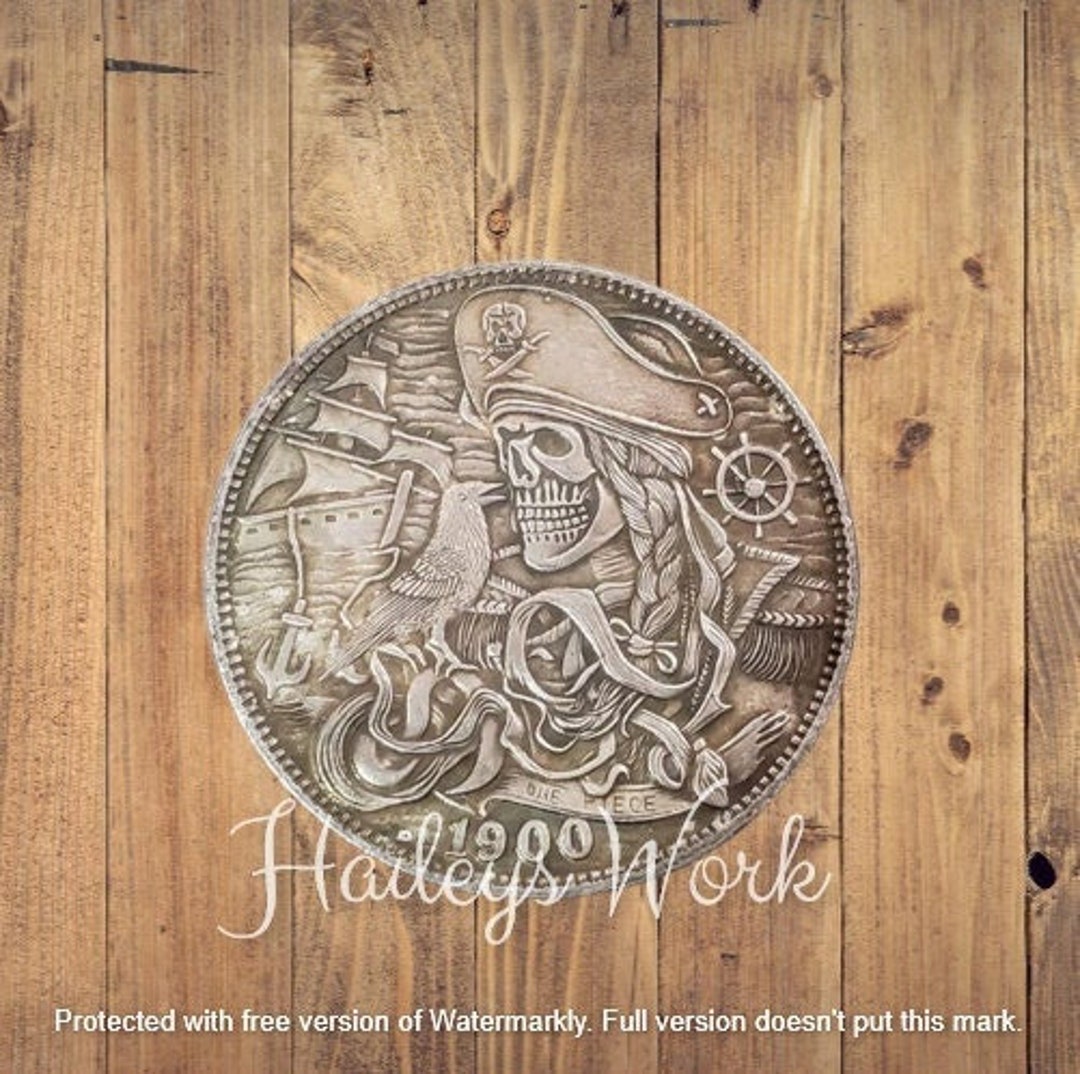 Hobo Nickel Coin Skull Pirate Ocean Military Fantasy Morgan Dollar ...