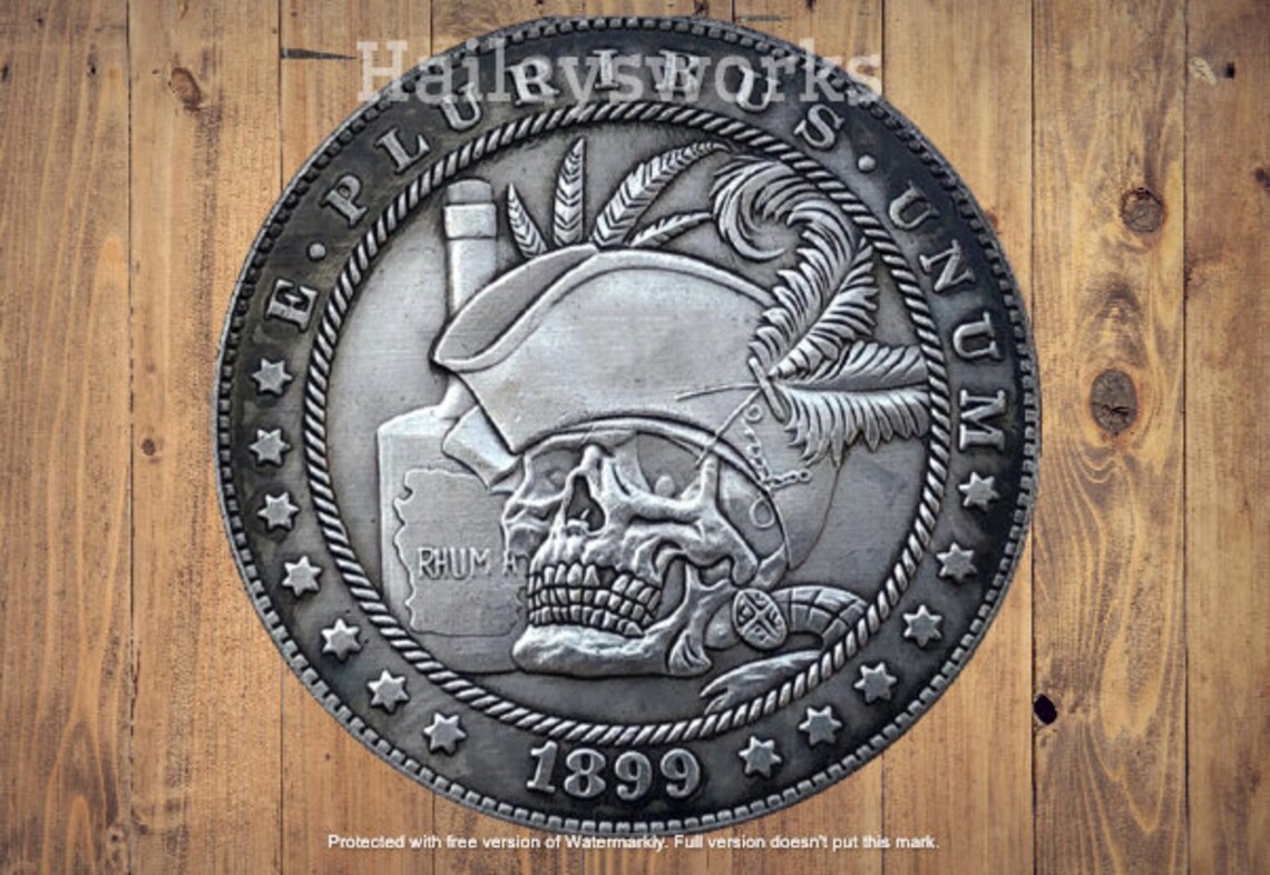 Hobo Nickel Pirate Skull With Whisky Bottle Skeleton Morgan - Etsy