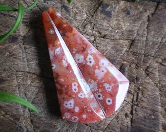 River Jasper Pair Just Like Ocean Jasper : Size 22164 Mm Weight 5,6 ...