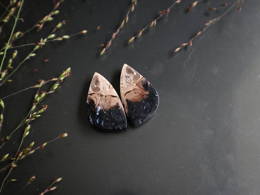 Palm Root Jasper Pair - Etsy