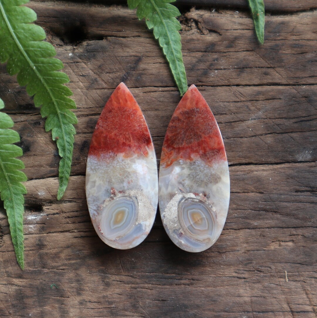 Unique Fossil Coral,mohs Scales of Mineral Hardness,agate Gemstone ...